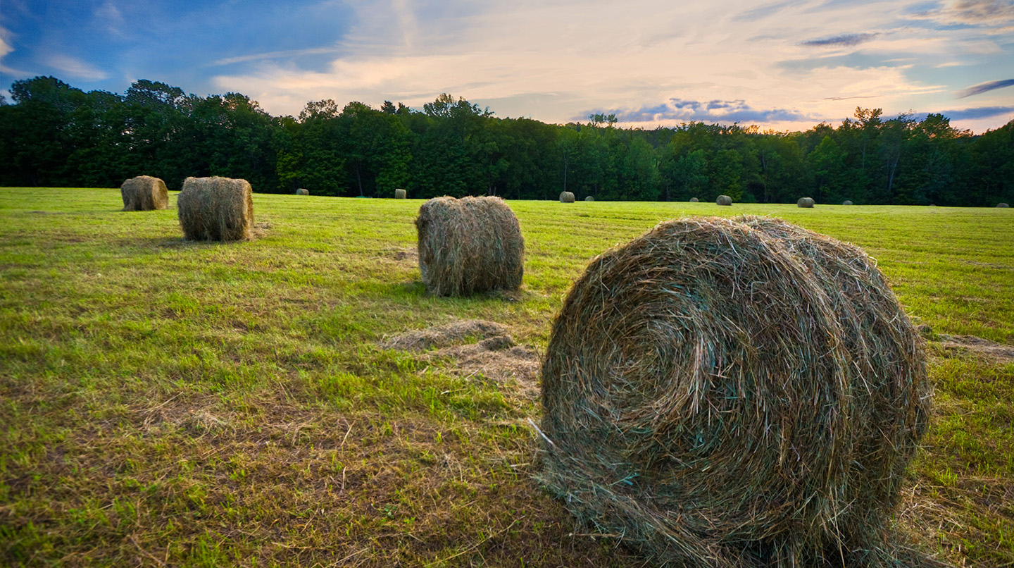 Norfolk, CT Real Estate Guide | William Pitt Sotheby's Realty